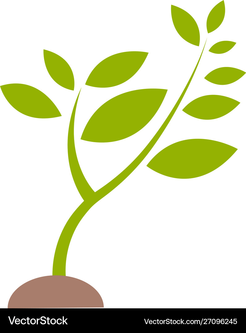 Plant sprout graphic design template isolated Vector Image