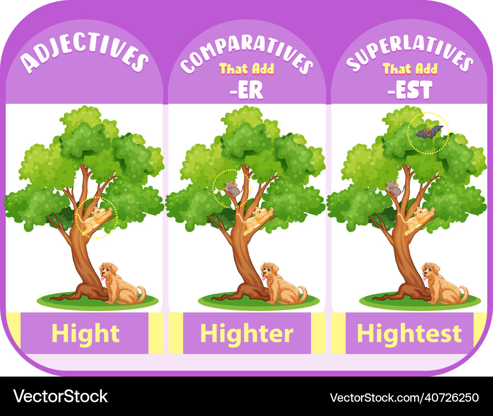 Comparatives and superlatives for word hight Vector Image