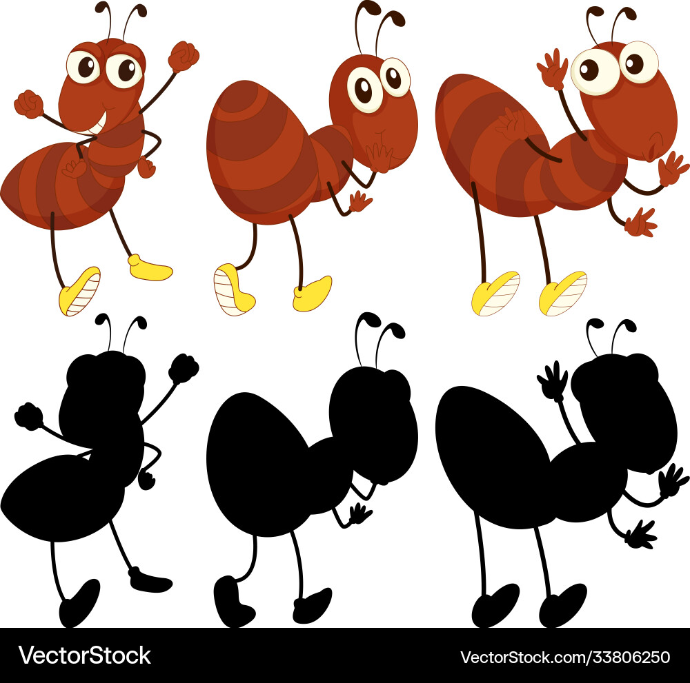 Set insect cartoon character and its Royalty Free Vector