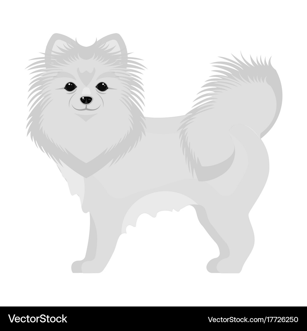 Spitz single icon in monochrome stylespitz Vector Image
