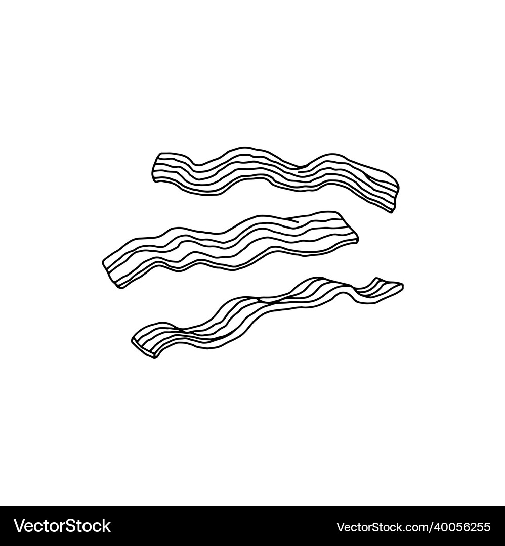 Bacon slices in engraving monochrome drawing Vector Image