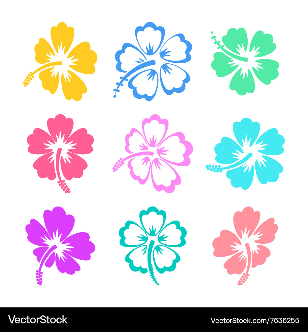 Colorful hibiscus icons Royalty Free Vector Image
