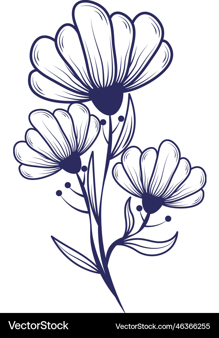 Flowers nature doodle Royalty Free Vector Image