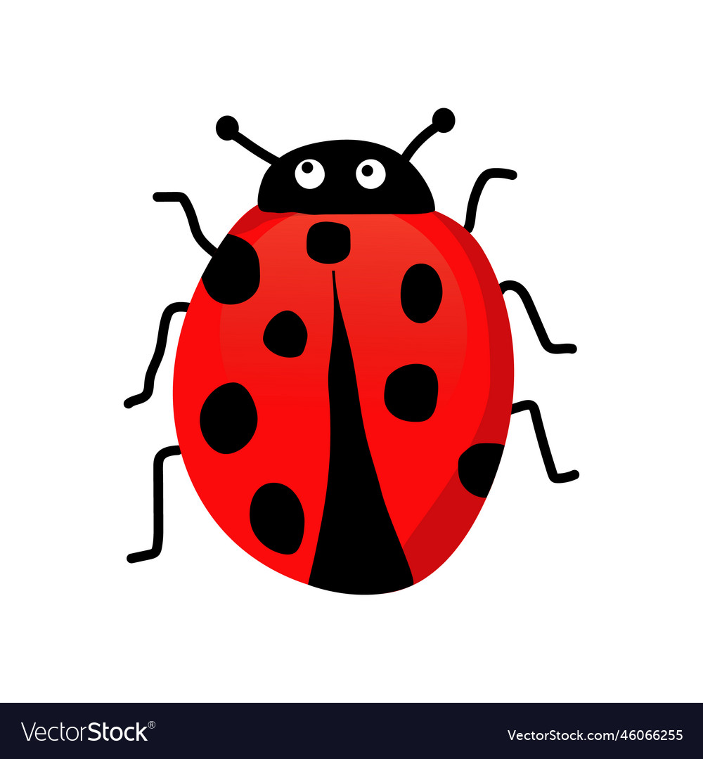 Ladybug Royalty Free Vector Image - VectorStock