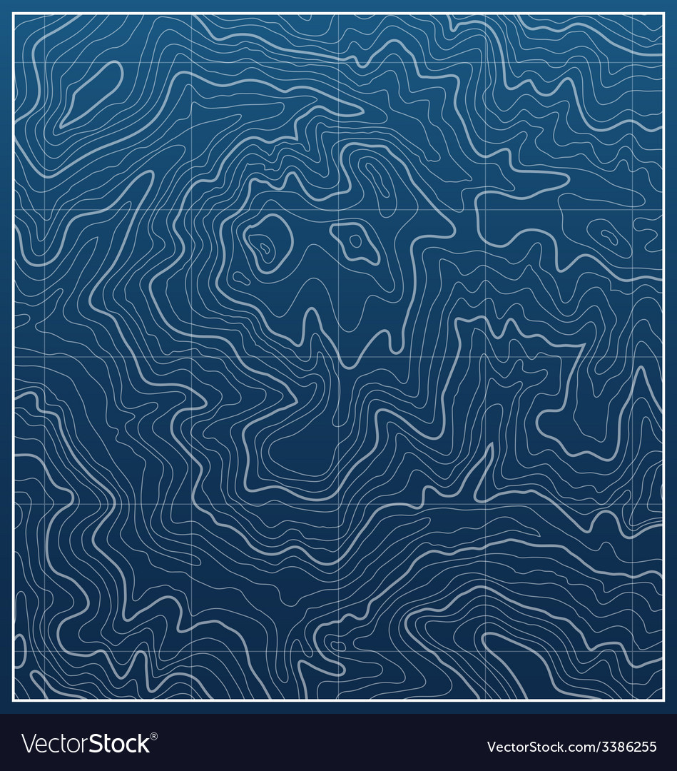 Topographic map Royalty Free Vector Image - VectorStock