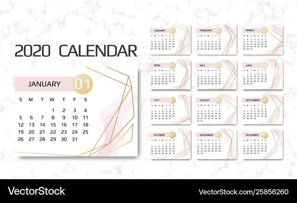 Calendar 2020 template 12 months design Royalty Free Vector