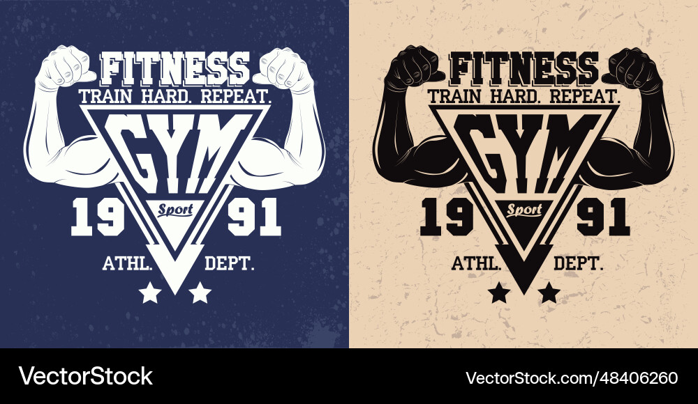 Vintage emblems or tee shirt print design Vector Image