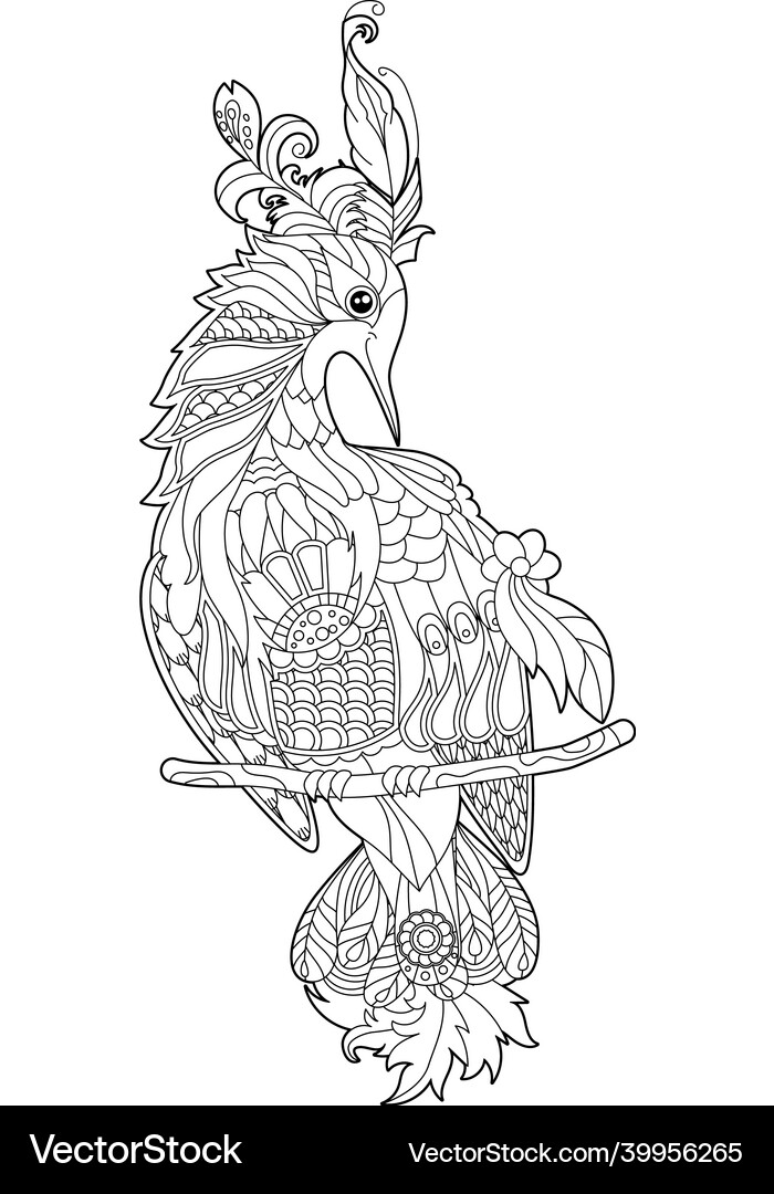 Cute beautiful bird with long tail black Vector Image