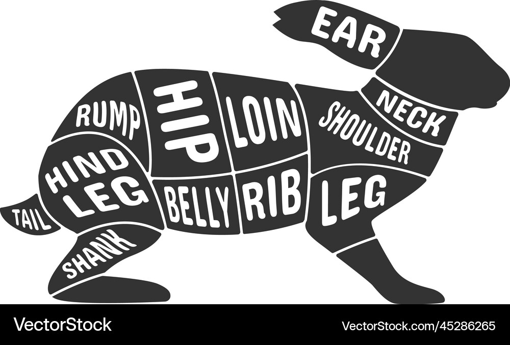 Rabbit black scheme butcher cut meat diagram Vector Image