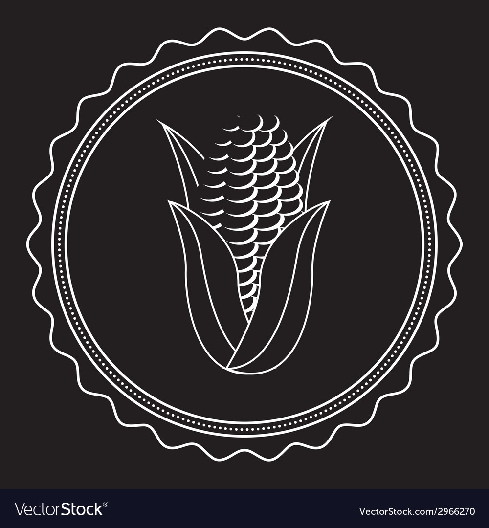 Corn design Royalty Free Vector Image - VectorStock