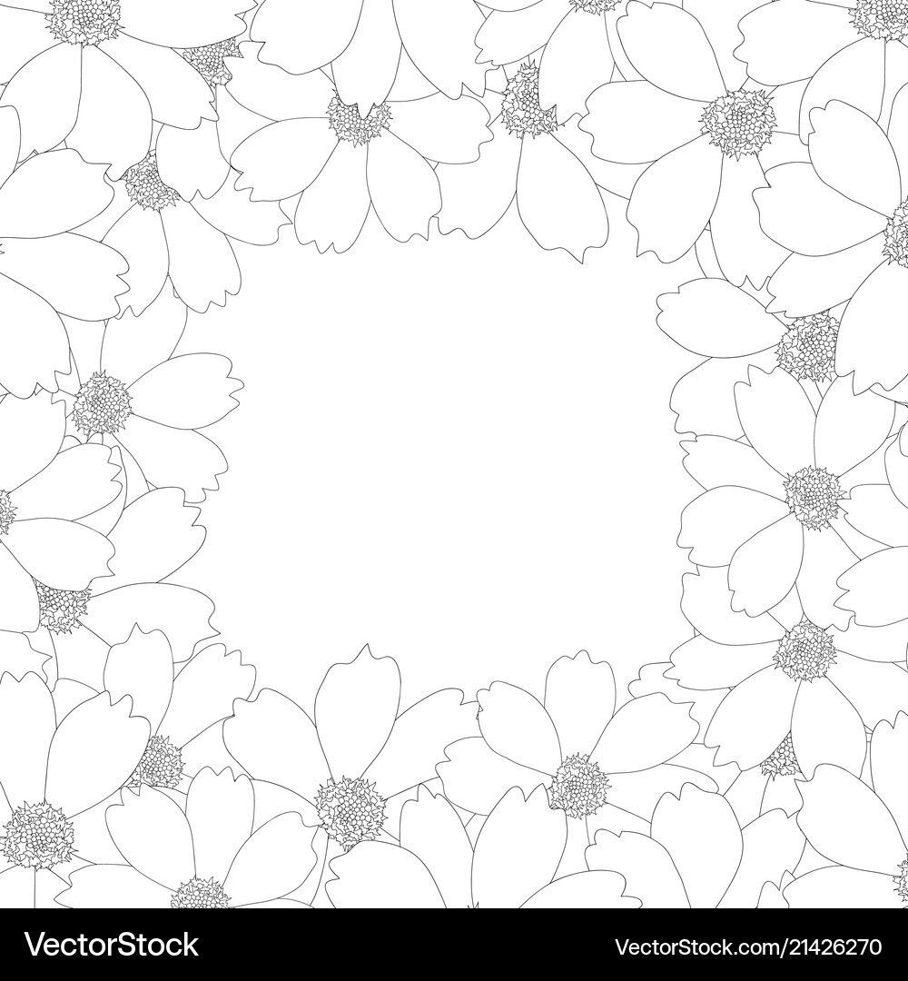 Cosmos flower outline border Royalty Free Vector Image