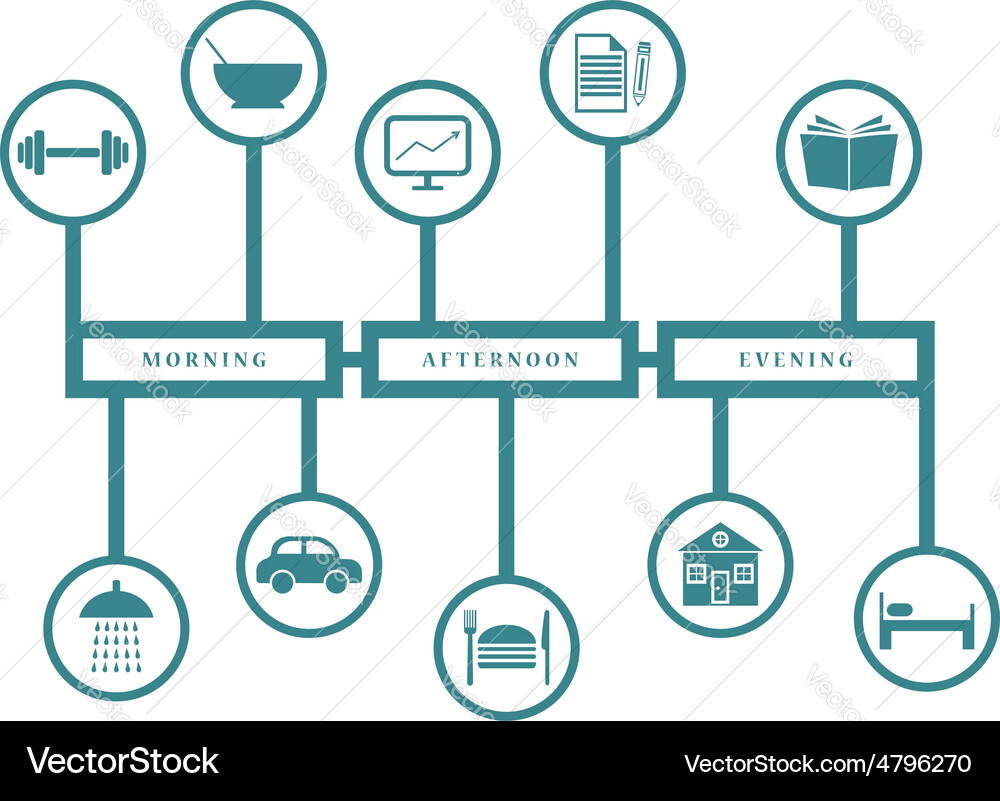 Daily infographics like concept routine and Vector Image