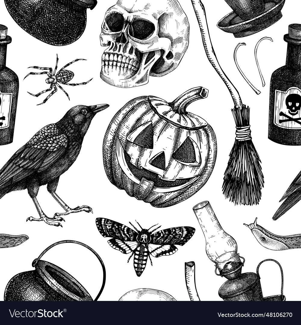 Halloween background skull potions pumpkin head Vector Image