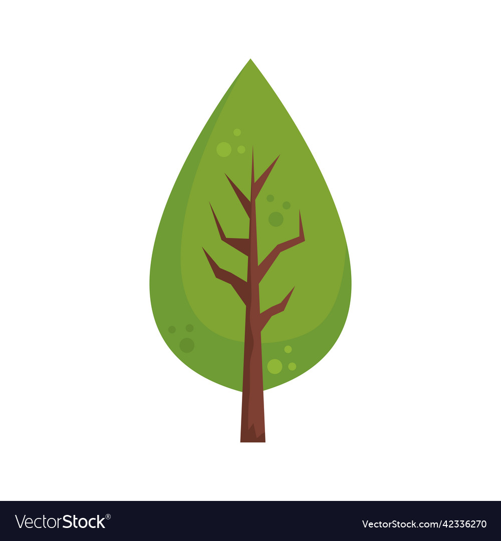 Pine tree plant Royalty Free Vector Image - VectorStock