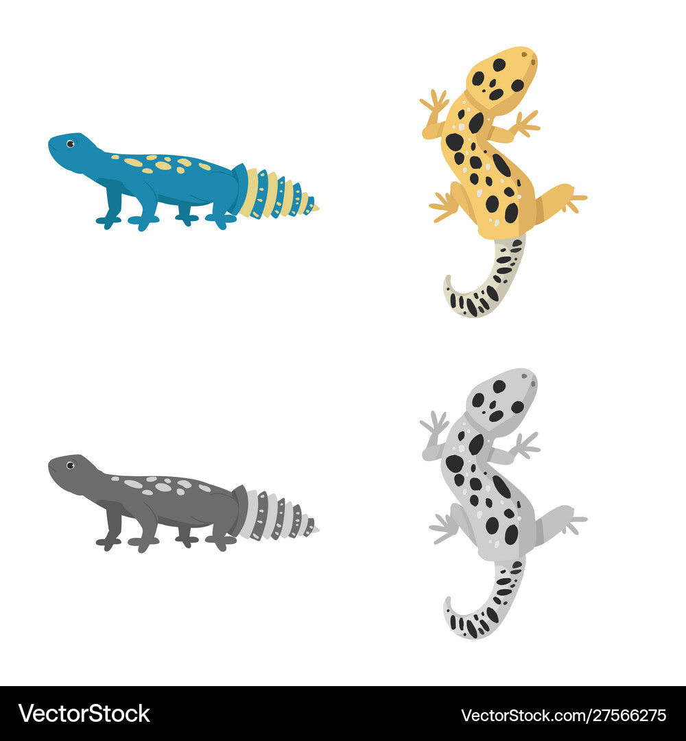 Colorful Gecko Tail Symbol Royalty Free Vector Image