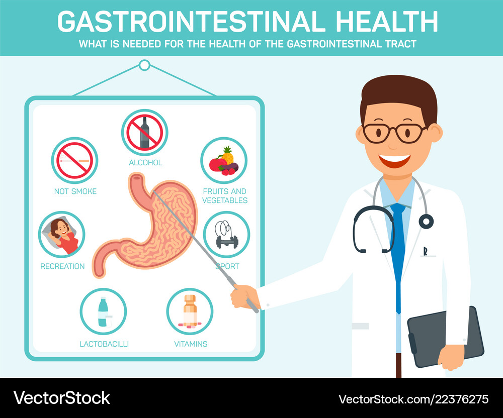 Gastrointestinal health flat Royalty Free Vector Image