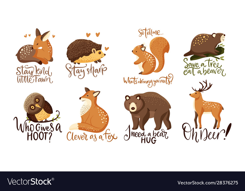 Hand drawn forest animal set in a flat style Vector Image