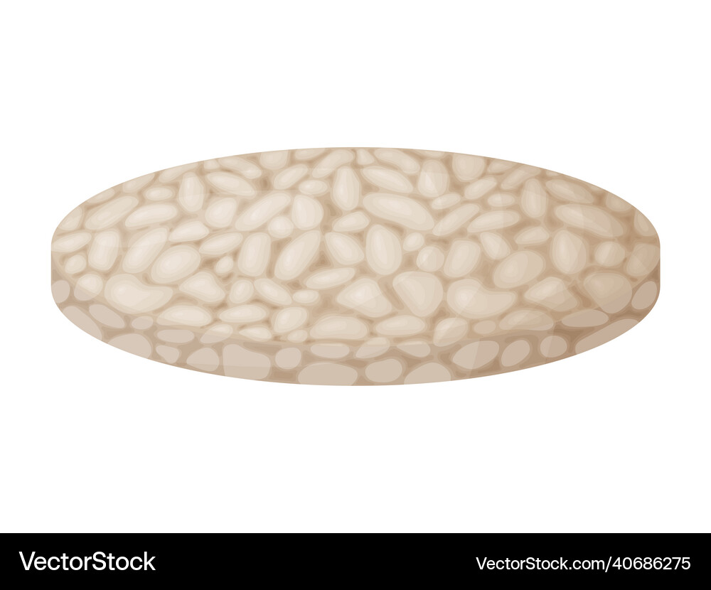 Rice cake wholegrain crispbreads isolated Vector Image