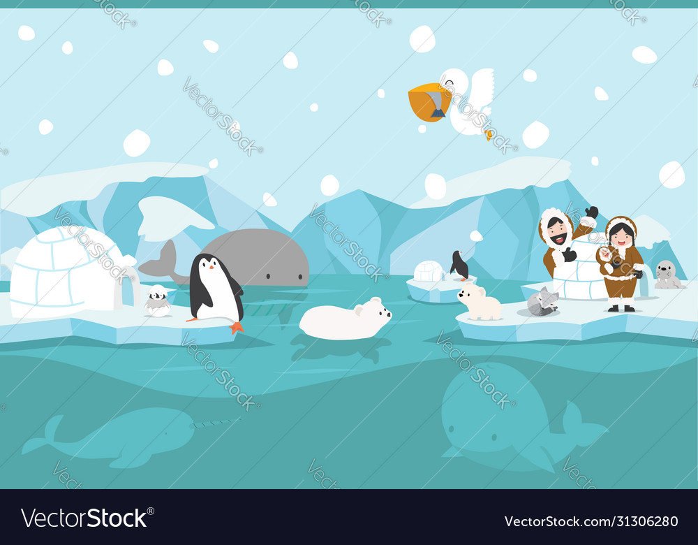Cartoon north pole arctic animals wildlife Vector Image
