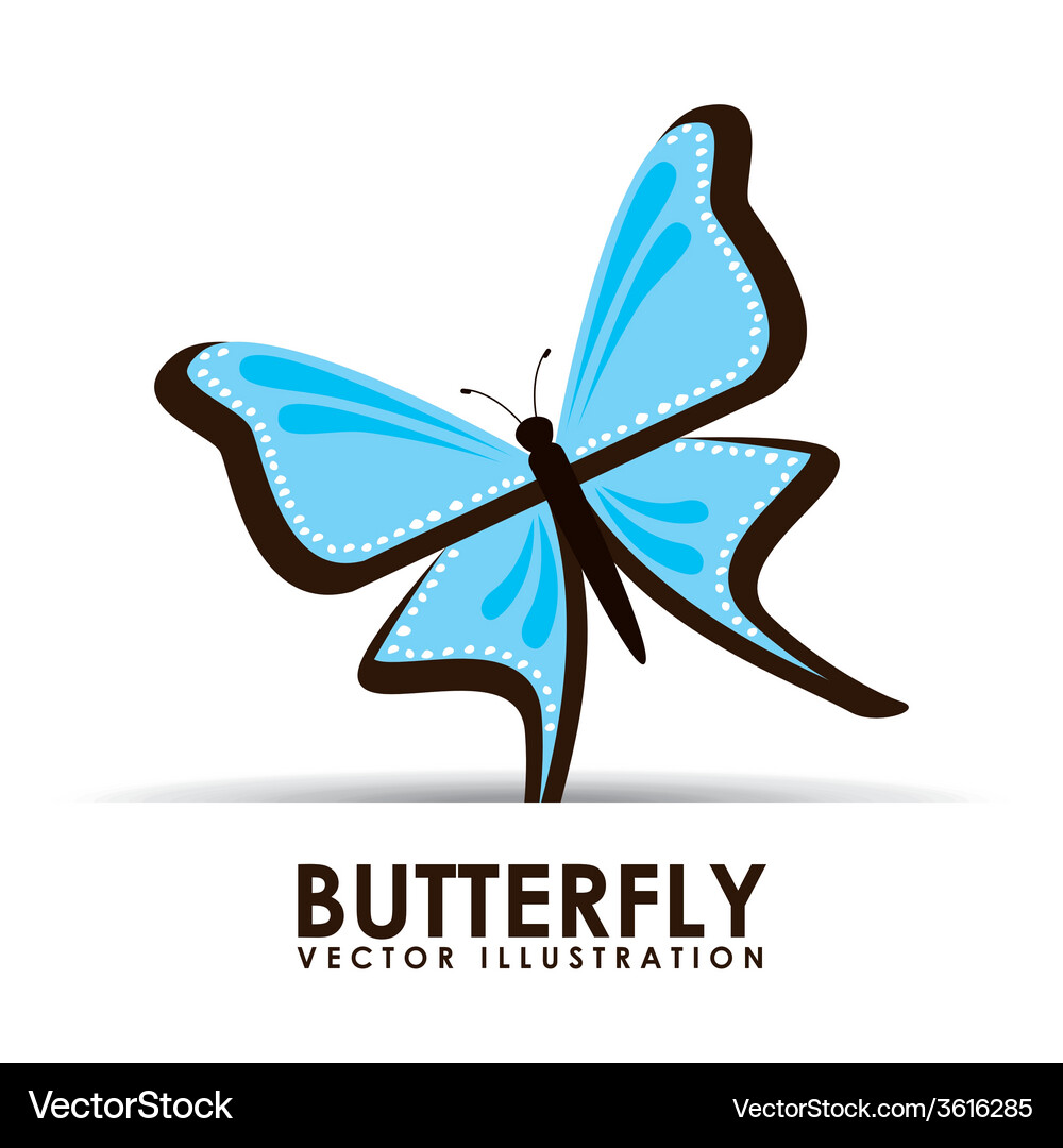 Butterfly Royalty Free Vector Image - VectorStock