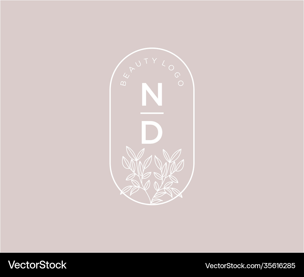 Initial nd letters beautiful floral feminine Vector Image