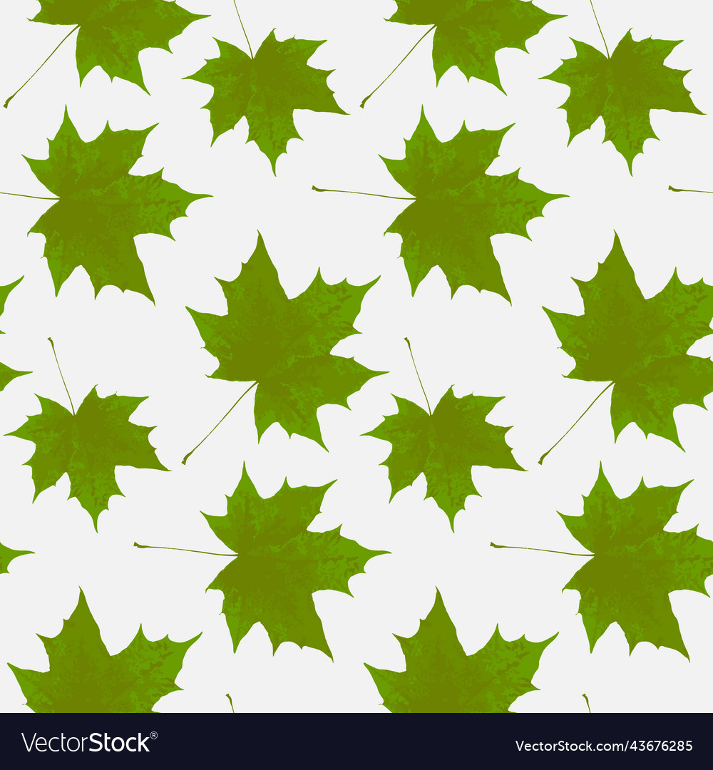 Maple tree green leaf seamless pattern Royalty Free Vector