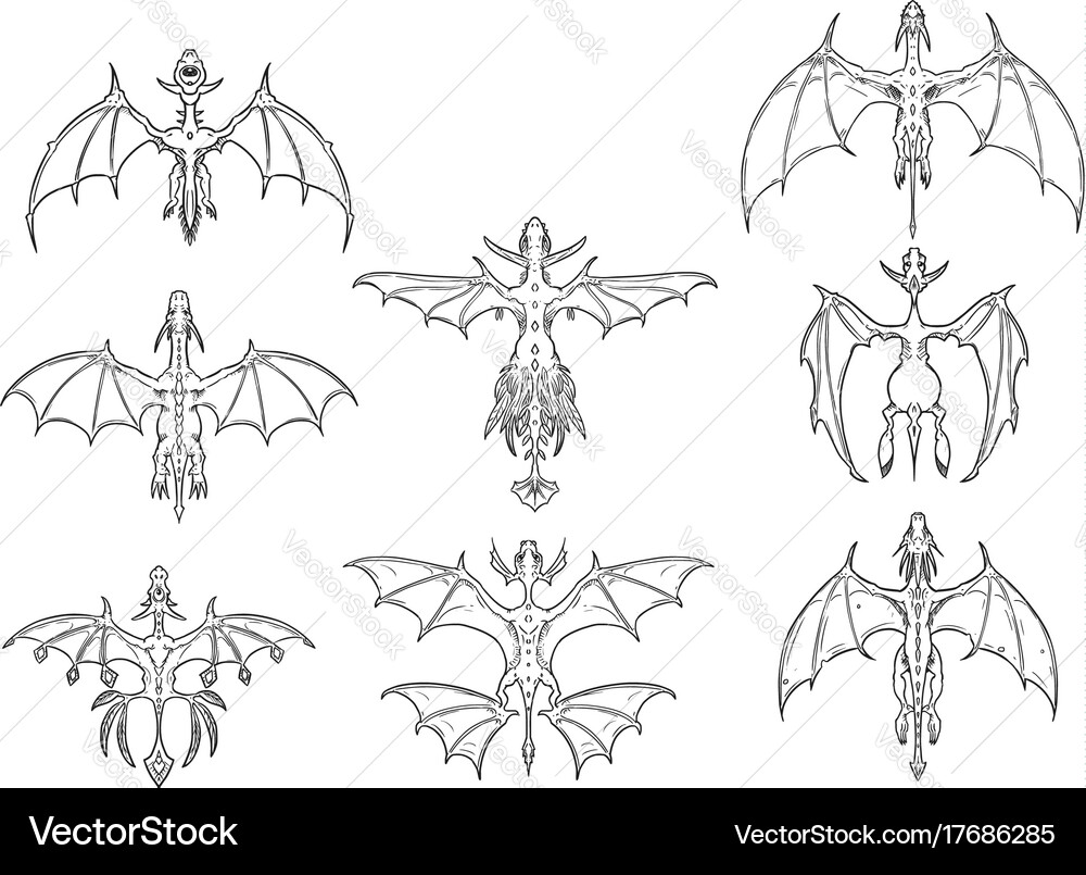 Set hand drawn cartoon dragons in top down view Vector Image