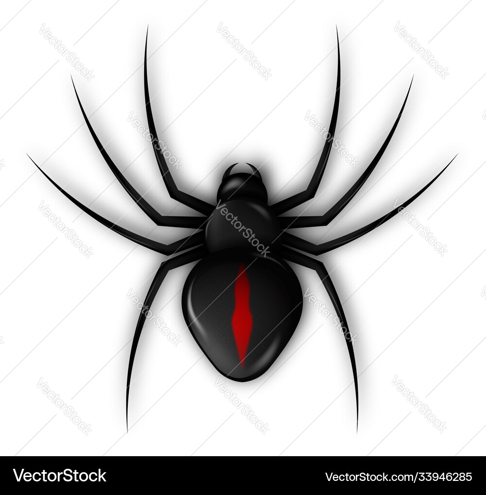 Spider icon for halloween banner decoration Vector Image