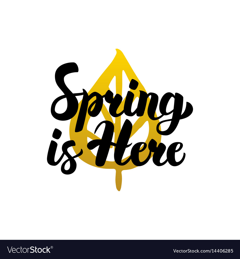 Spring is here handwritten lettering Royalty Free Vector