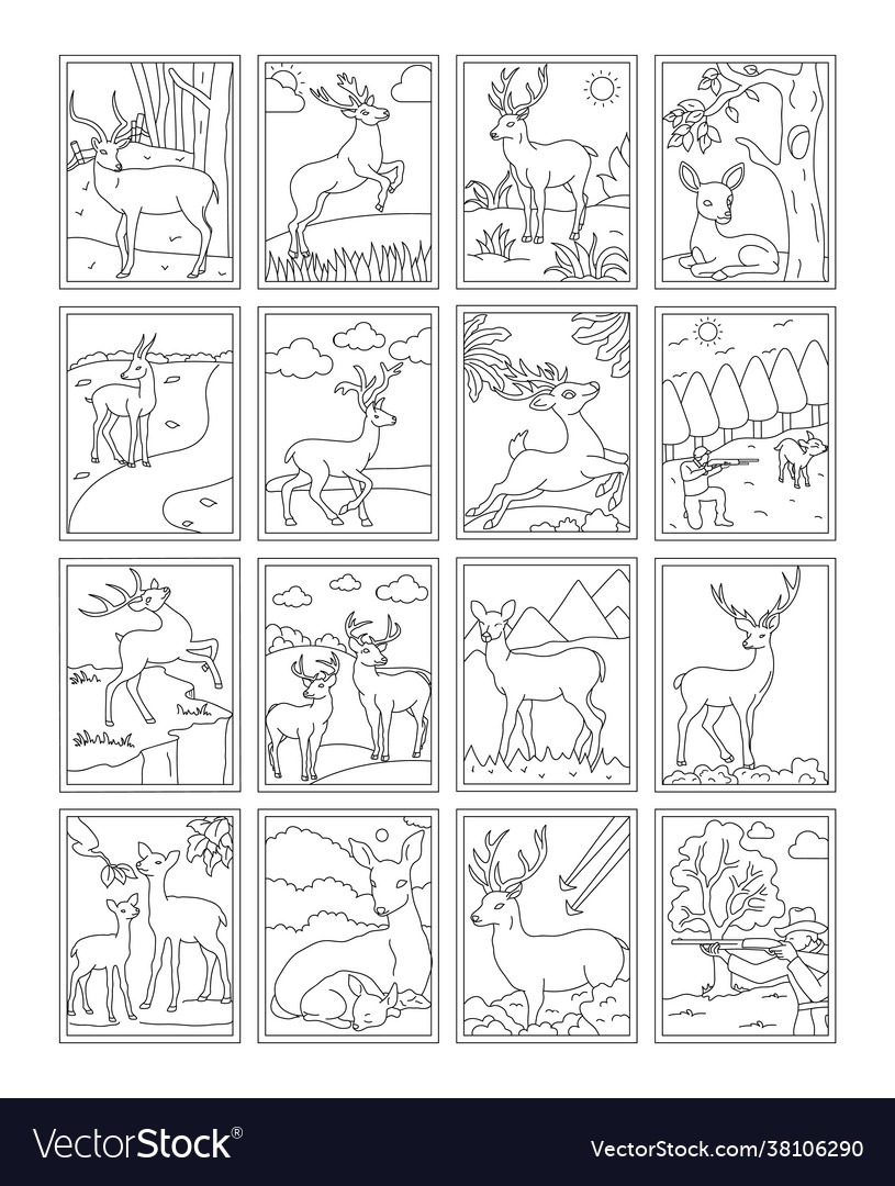Pack deer life coloring pages templates Royalty Free Vector
