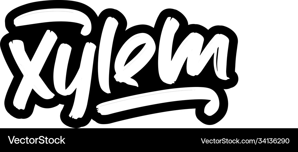 Xylem hand drawn modern brush lettering Royalty Free Vector