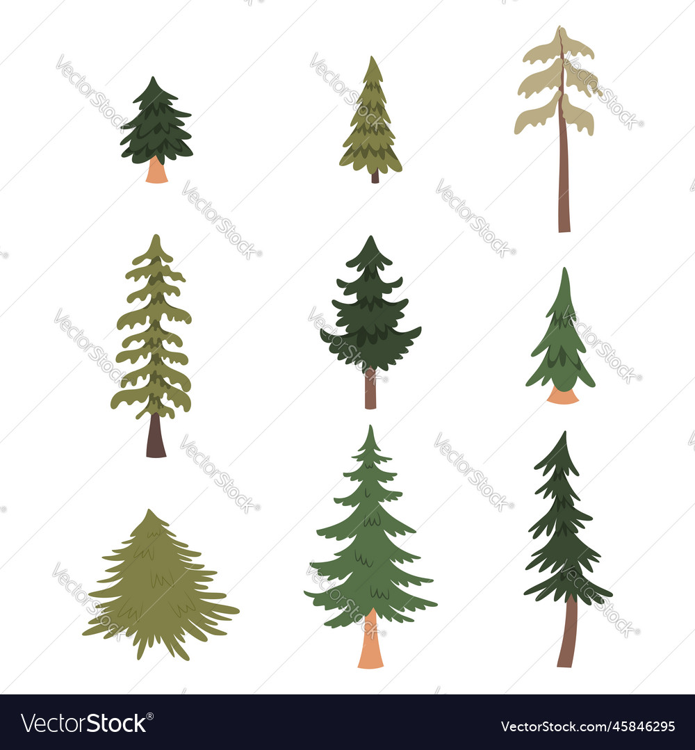 Forest pine trees set Royalty Free Vector Image