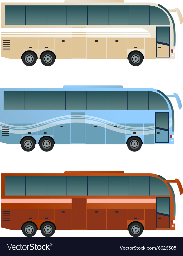 Set different buses Royalty Free Vector Image - VectorStock