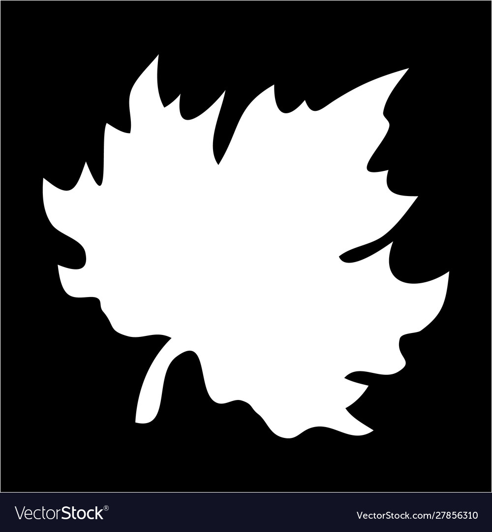 Maple leaf canada symbol white icon Royalty Free Vector