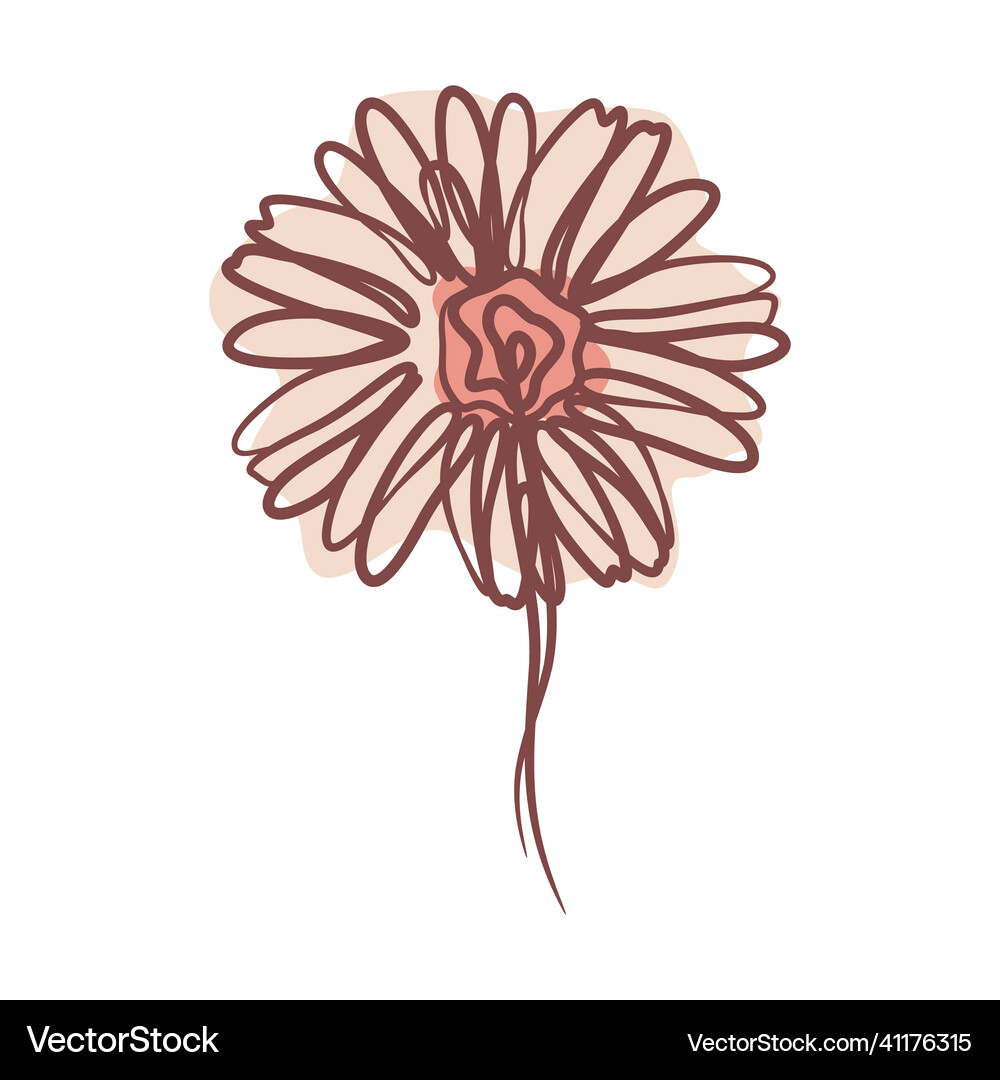 Abstract flower in continuous line art drawing Vector Image