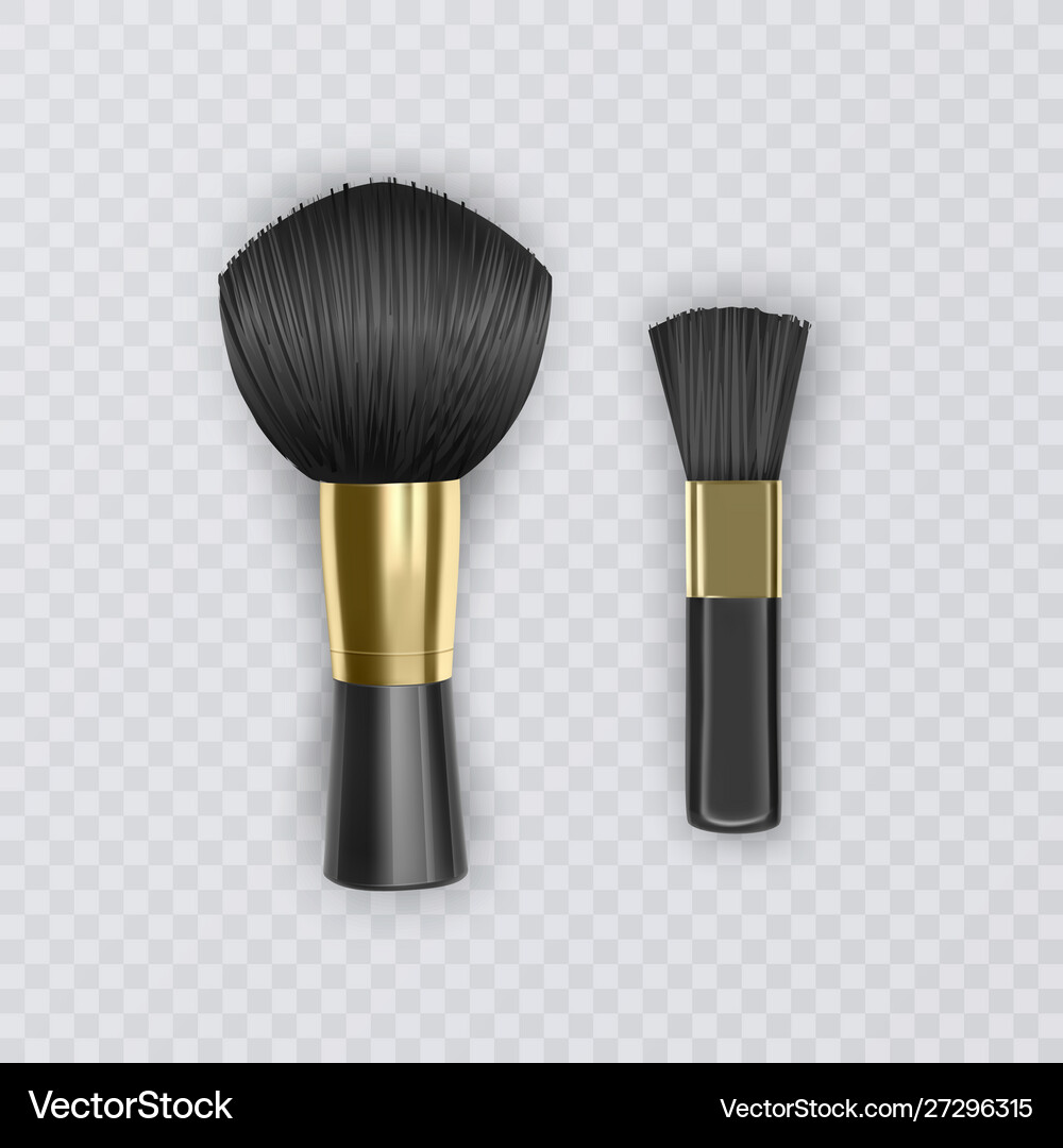 Set professional cosmetic make up powder blusher Vector Image