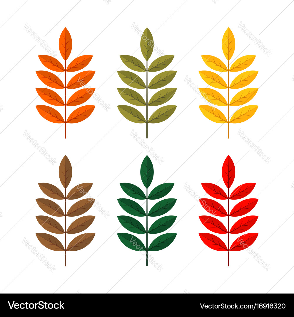 Elegant and beautiful autumn leaves elements Vector Image