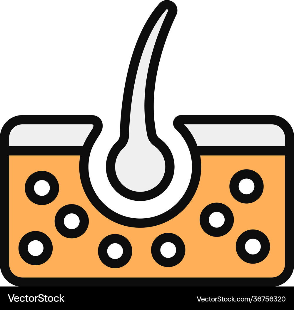 Hair follicle Royalty Free Vector Image - VectorStock