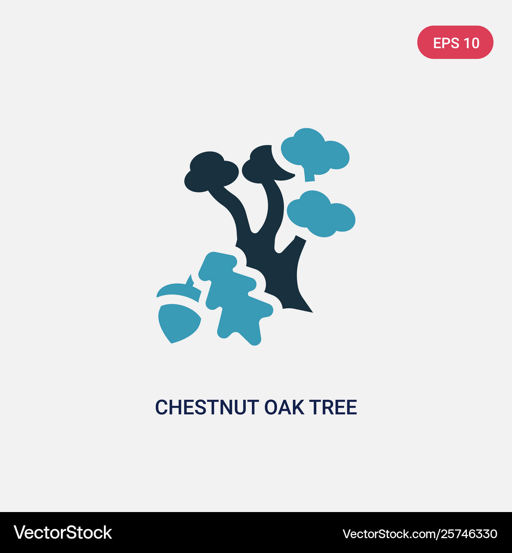 Two color chestnut oak tree icon from nature Vector Image
