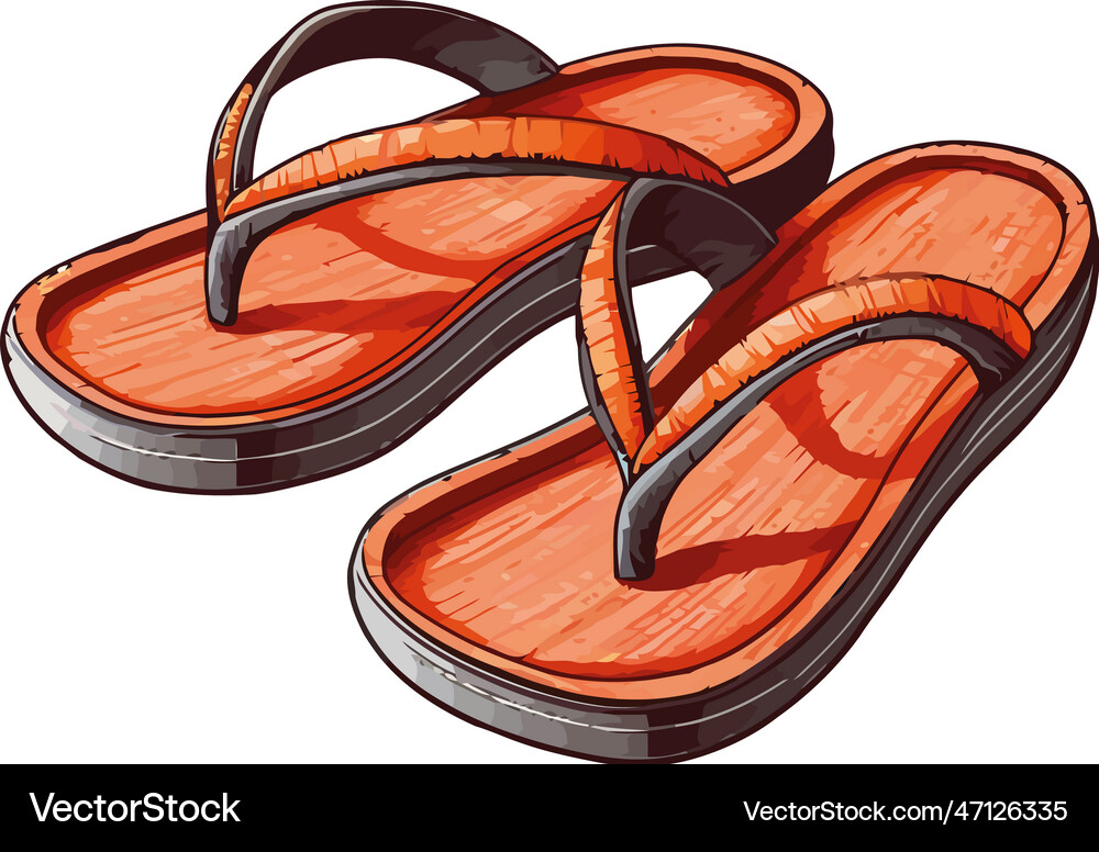 Fashionable leather sandals Royalty Free Vector Image