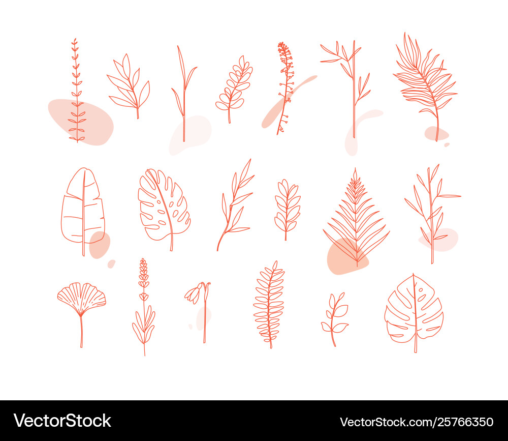 Floral flat leaves set white Royalty Free Vector Image