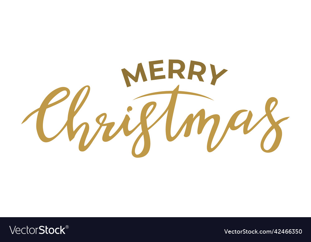 Merry Christmas Hand Drawn Text Template Vector Image
