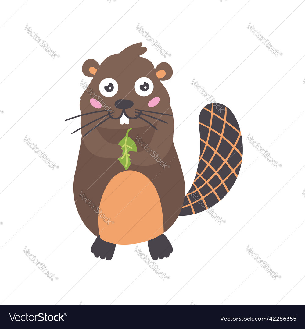 Cheerful beaver Royalty Free Vector Image - VectorStock