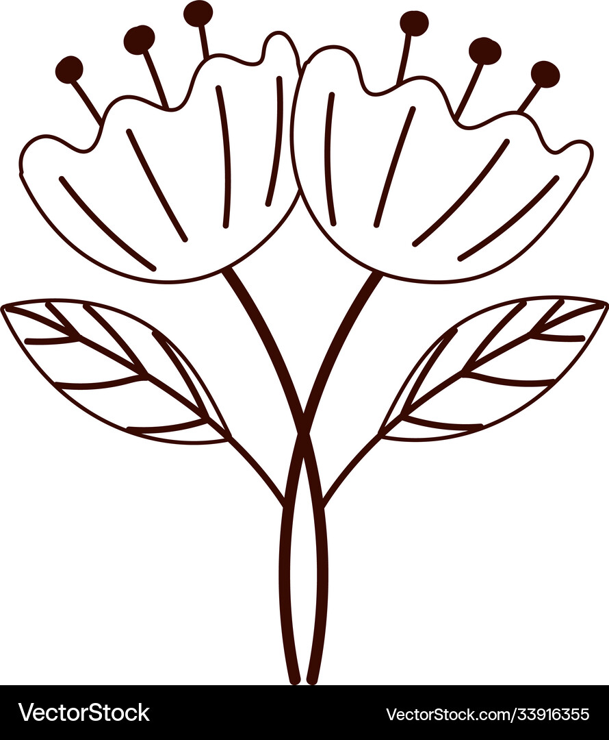 Flowers stem nature decoration isolated design Vector Image