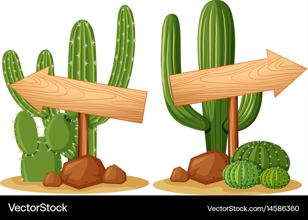 Arrow signs on cactus plants Royalty Free Vector Image