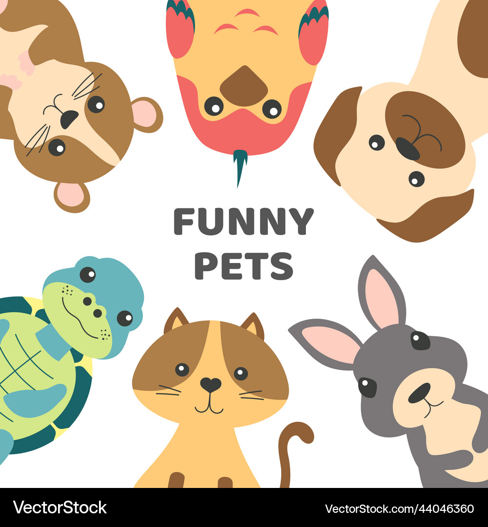 Funny cartoon cute pets Royalty Free Vector Image