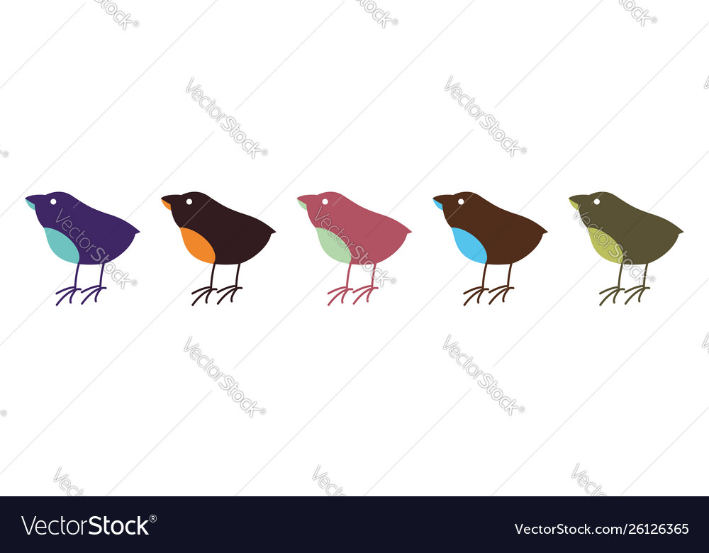 Birds Royalty Free Vector Image - VectorStock