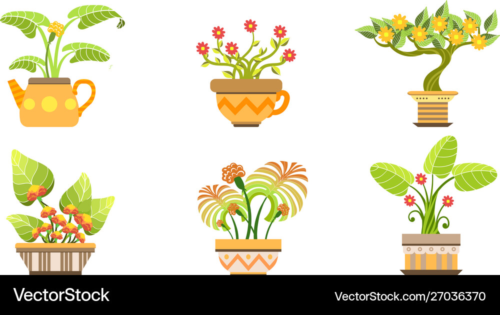 Blooming potted plants set home or office Vector Image