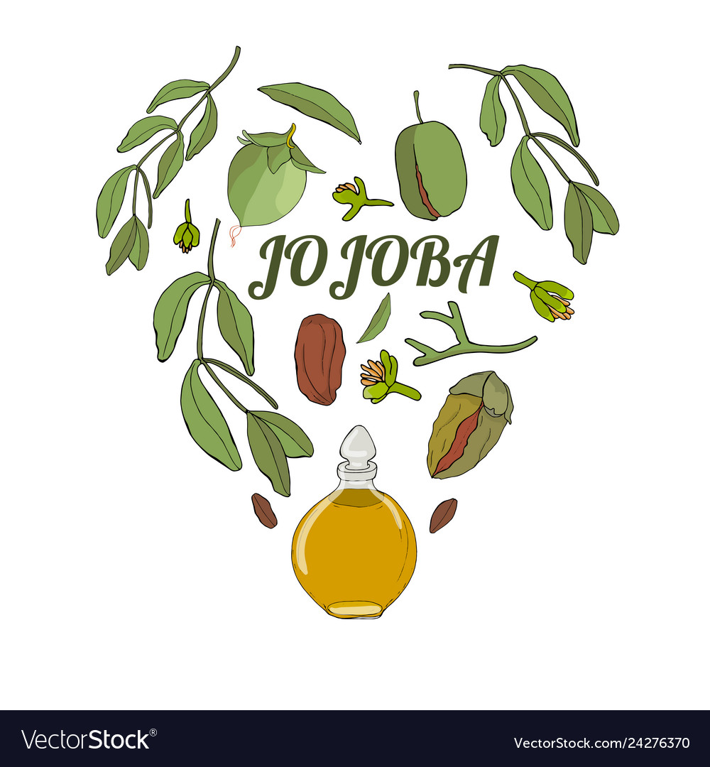 Gogoba monochrom Royalty Free Vector Image - VectorStock