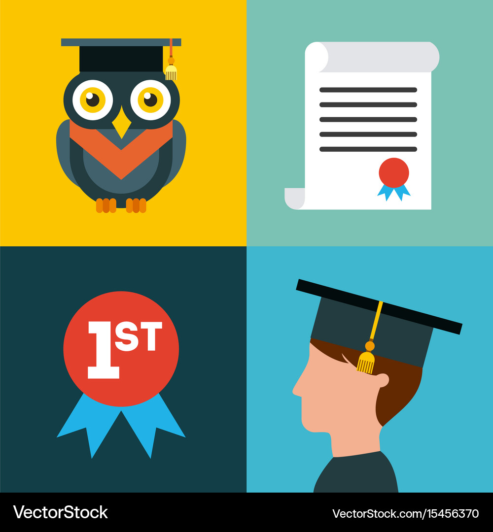 Icons set graduate owl Royalty Free Vector Image